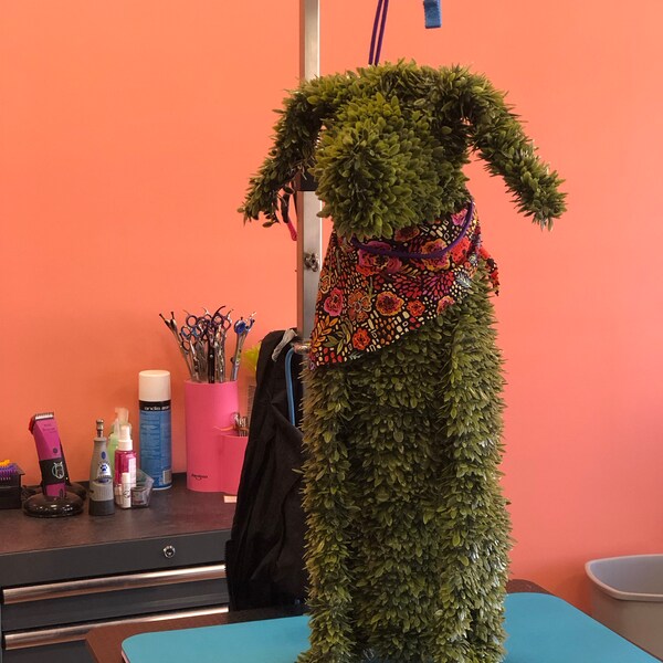 Meet Cooper the Playful Pup- Fun, Faux Plant, Topiary Dogs! Enhance ...