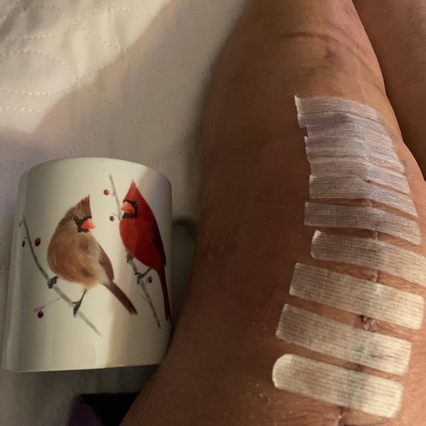 Cardinal Journal Cardinal Notebook Gift Cardinal Birds Journal for Mom ...