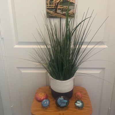 Hand-painted Betta Fish Art Stone Colorful Aquatic Decor, Unique Rock ...