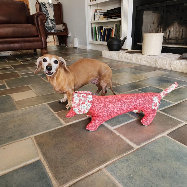 Dachshund Memory Dog Sewing Pattern: 23 Inch Keepsake (PDF Pattern ...