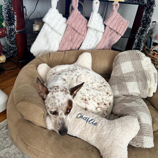 Personalized LARGE Dog Bone Large Pet Pillow, Personalized Gifts for ...