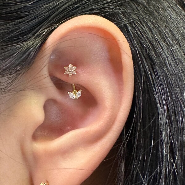 16G Abalone Shell Moth Septum Ring/hinged Segment Septum Clicker/daith ...