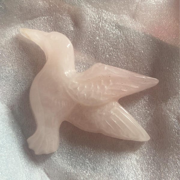 Sinuses Support | Sinusitis Relief | Allergy Relief | Stuffy Nose ...