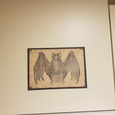Victorian Bat Illustration Aged Reproduction Art Print A4 Size. - Etsy