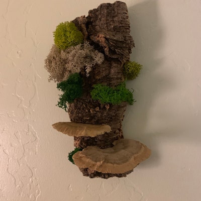 Floating Forest Art Gift, Moss on Cork Bark Natural Wall Decor ...