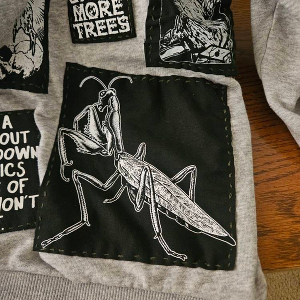 Praying Mantis Patch - Insect Patch, Nature Goblincore, Crust Punk, Horror Patch, Patches for ...