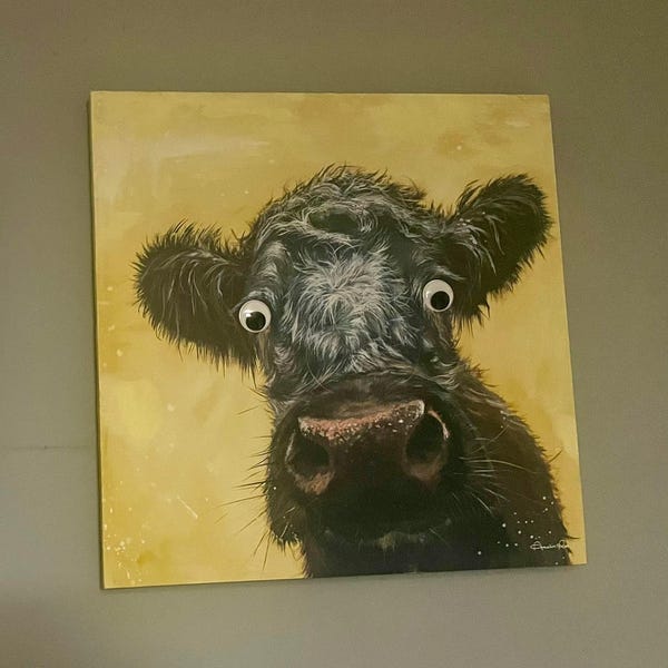 Ultimate Googly Eyes Bundle 5 Zip Bags 388PCS Easy Peel & Stick Multi ...