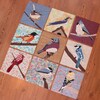 Mountain Bluebird Paper Piecing Pattern - Etsy