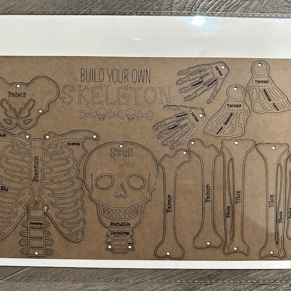 Build Your Own Skeleton Laser Cut Digital File | Cute Halloween DIY ...