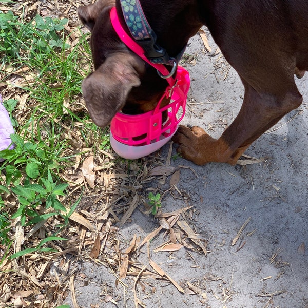 Full Grip Supply Muzzle Lick / Stool Guard - Etsy