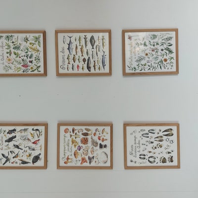 Print Common Household Bugs Watercolor Insects Painting Natural History ...