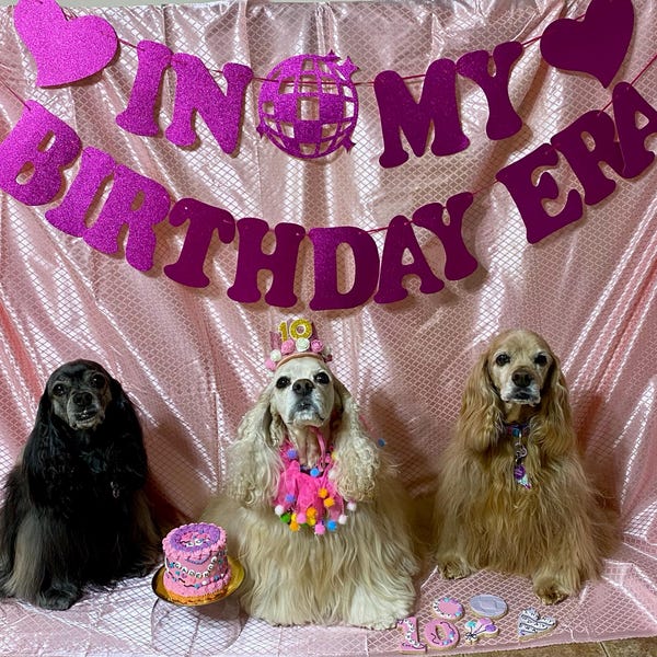 Strawberries Dog Cake Dog Birthday Cake wheat Free - Etsy