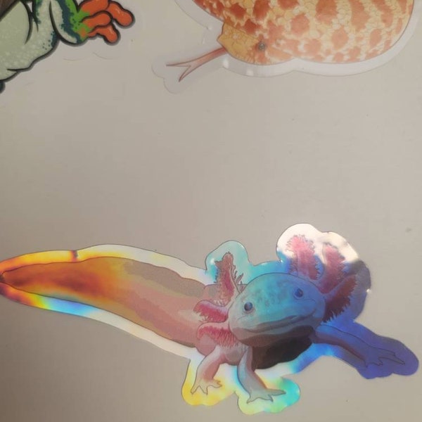 Mantis Shrimp Holographic Sticker, Shrimp Sticker, Ocean Sticker, Vinyl ...