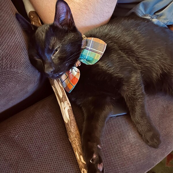 Cat Collars THISTLE Handmade Breakaway Soft Cat Collar - Etsy