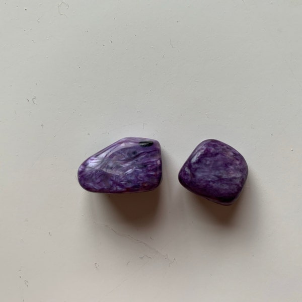 Rare Vintage Goebel Dog With Kennel Salt & Pepper Set, Cruet Set. - Etsy UK