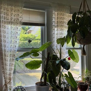 Lace Embroidered Curtain, One Panel Window Decor Curtain for Living ...