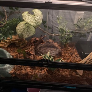 Plastic Moss Pads: Artificial Aquarium Plants Reptile | Etsy