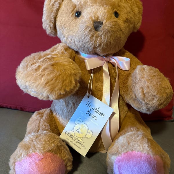 Voice Recording Teddy Bear, Personalized Plush Keepsake Gift, up to 30 ...