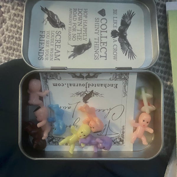 The Original Crow's Curiosity Trinket Box With Treasure Collection ...