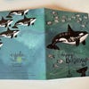 Washington State Holiday Cards Washington Christmas Card, Washington ...