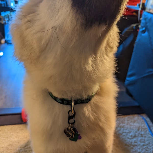 Luna Dog Tag, Pet ID Tag, Personalized Dog Tag, Microchip Pet Tag ...