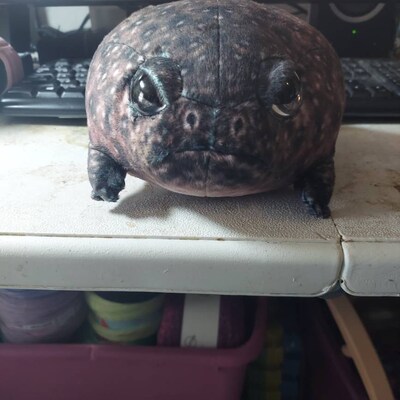 NEW Rain Frogs Grumpy Frog Mini Plushie Stuffed Animals - Etsy