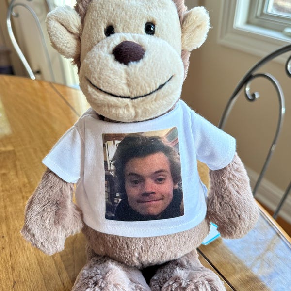 Memory Bear, Pepe Teddy Bear, Memorial Bear for Kids, Sympathy Bear ...