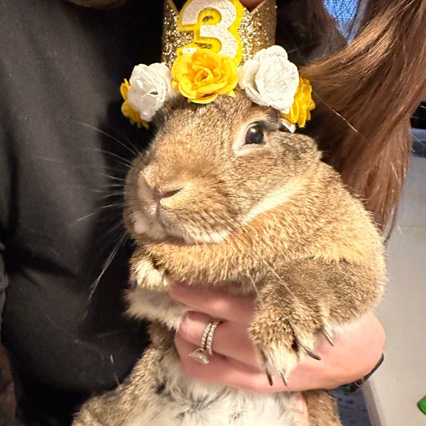 Party Hat for Rabbit, Bunny Birthday Crown, Rabbit Birthday Crown ...