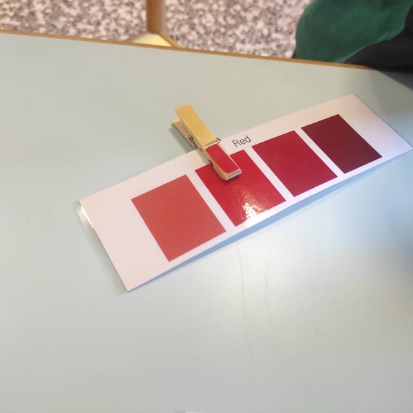 Color Matching & Sorting Activity With Clothespins | Fine Motor Skills ...