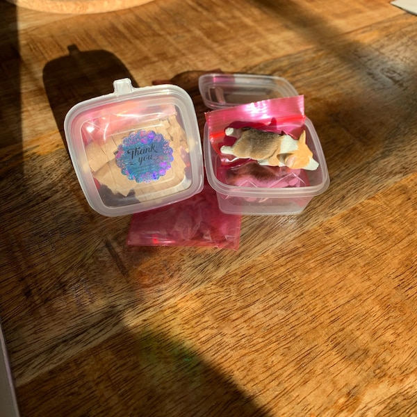 Miniature Human Girl Bikini Model Figures. 1:64 S Scale. Women ...