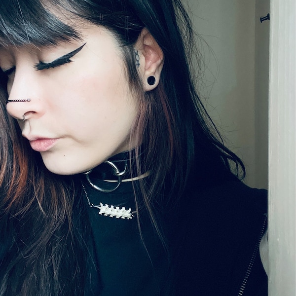 Rattlesnake Bone Keychain, Vertebrae Keychain, Key Chain, Real Bone ...