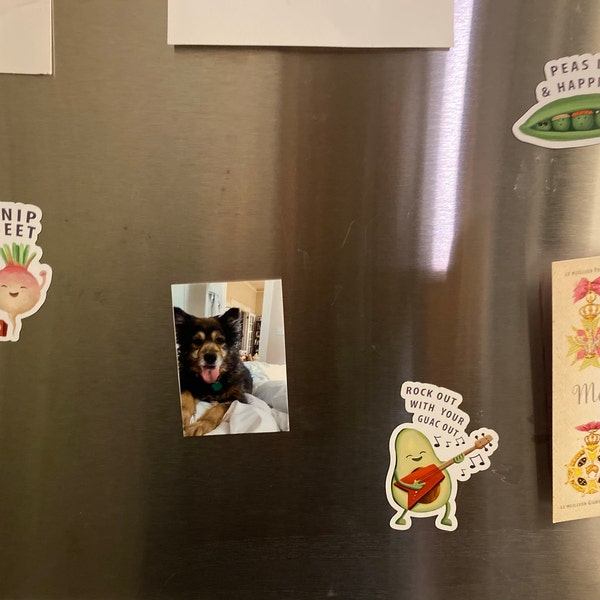 Set of 3 Refrigerator Magnets - Veggie Pun - Kitchen Decor - Funny ...