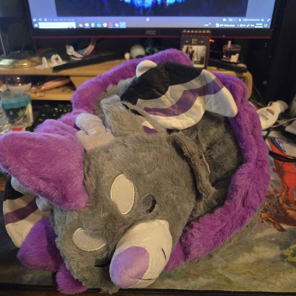 Enamel Pin Egg the Trans Raccoon - Etsy