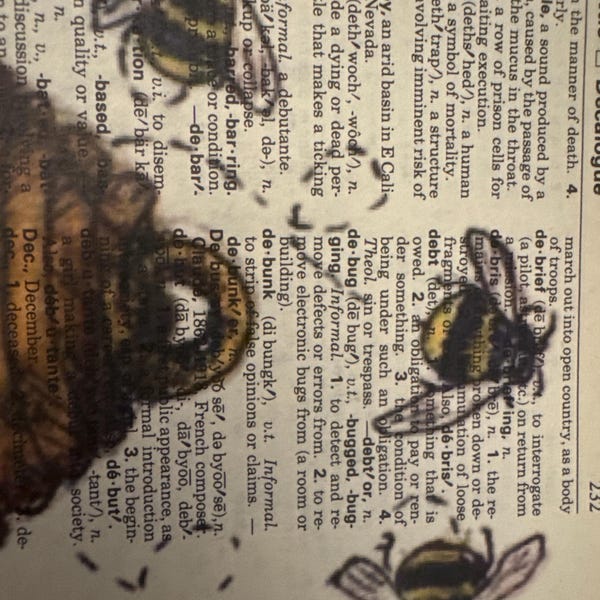 Bug/insect Themed Dictionary Prints - Etsy