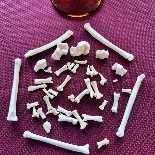 Little Bones Crafters Mixed Bag - 40 Pieces - Stock No. 1-89 - Etsy