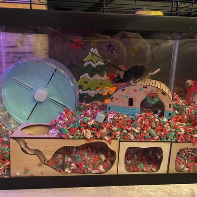 Hamster Tunnel/ Hamster Cave Hideout/ Chamber Rooms/ Hamster Digging ...