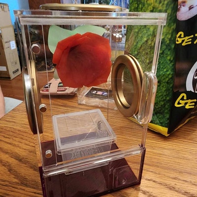 Jumping Spider Care Sheet, Printable Spider Tracker, Pet Breeding ...