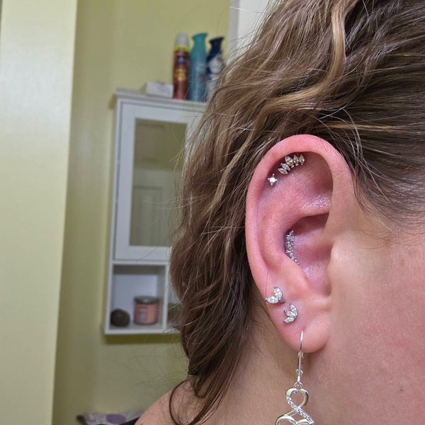 Bat Septum Ring, Nose Ring, Daith Ring, Hinged Clicker Hoop, 16ga 8mm ...