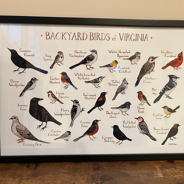 Virginia Backyard Birds Field Guide Art Print / Watercolor Painting ...