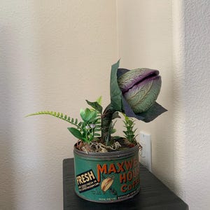 Baby Audrey II Replica Prop Display From "little Shop of Horrors" - Etsy