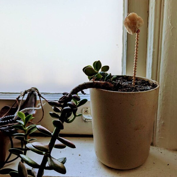 The Soul Devotion Mala Bead Necklace - Limited Release Strawberry Full ...