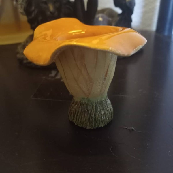 Ceramic Turtle Shell Wall Art, Handmade Turtle Shell Faux Taxidermy - Etsy