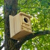 Large Dove Box, Dove Nesting, Spruce, Box, Mourning Dove Nesting Box ...