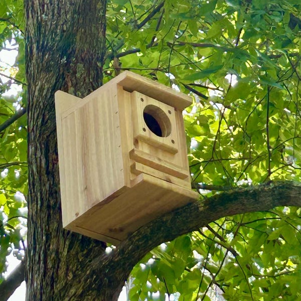 Squirrel Box, House, Cedar Nesting Box, Large Squirrel House, Squirrel ...