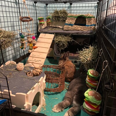 INDOOR Guinea Pig Ramp, Rabbit Ramp, Hedgehog Ramp With Sides Option 5. ...