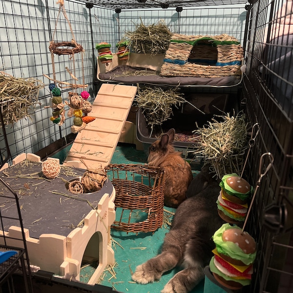 INDOOR Ramp With Sides Option 5.5-11.25 Inches Wide 10"-70" Long 7lb ...