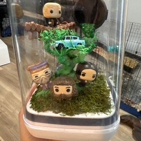 Deluxe Isopod Starter Kit Isopod Terrarium Kit for Isopods With Isopod ...