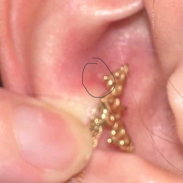 9k Cartilage Earring Gold, Helix Hoop Earring 14k, Feather Earring ...