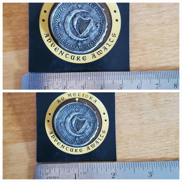 DND DRUID COIN, Large Dungeons and Dragons Charachter Coin D20 Rpg - Etsy