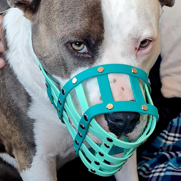 Custom Dog Muzzle for Large & XL Breeds – Comfortable, Secure ...
